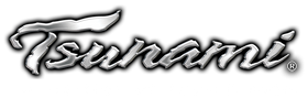 The Florida Mullet Run - How to Catch your Fish-of-a-Lifetime With Tsu ...